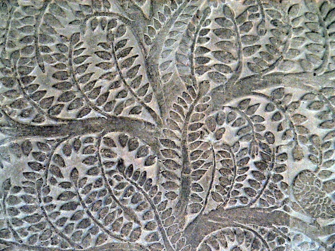 2006年2月4日08 Beautiful tree relief on the wall.jpg08 Beautiful tree ...